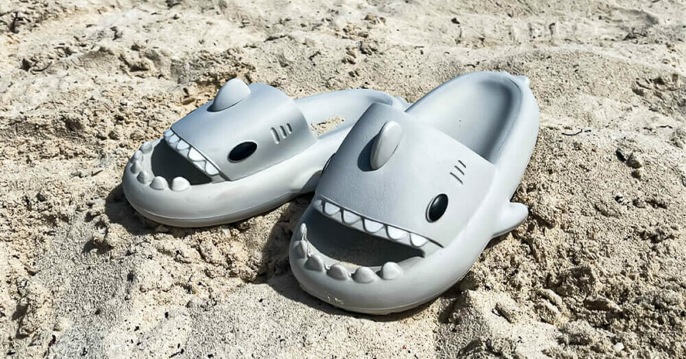 Owl Ohh | Shark Flips Flop